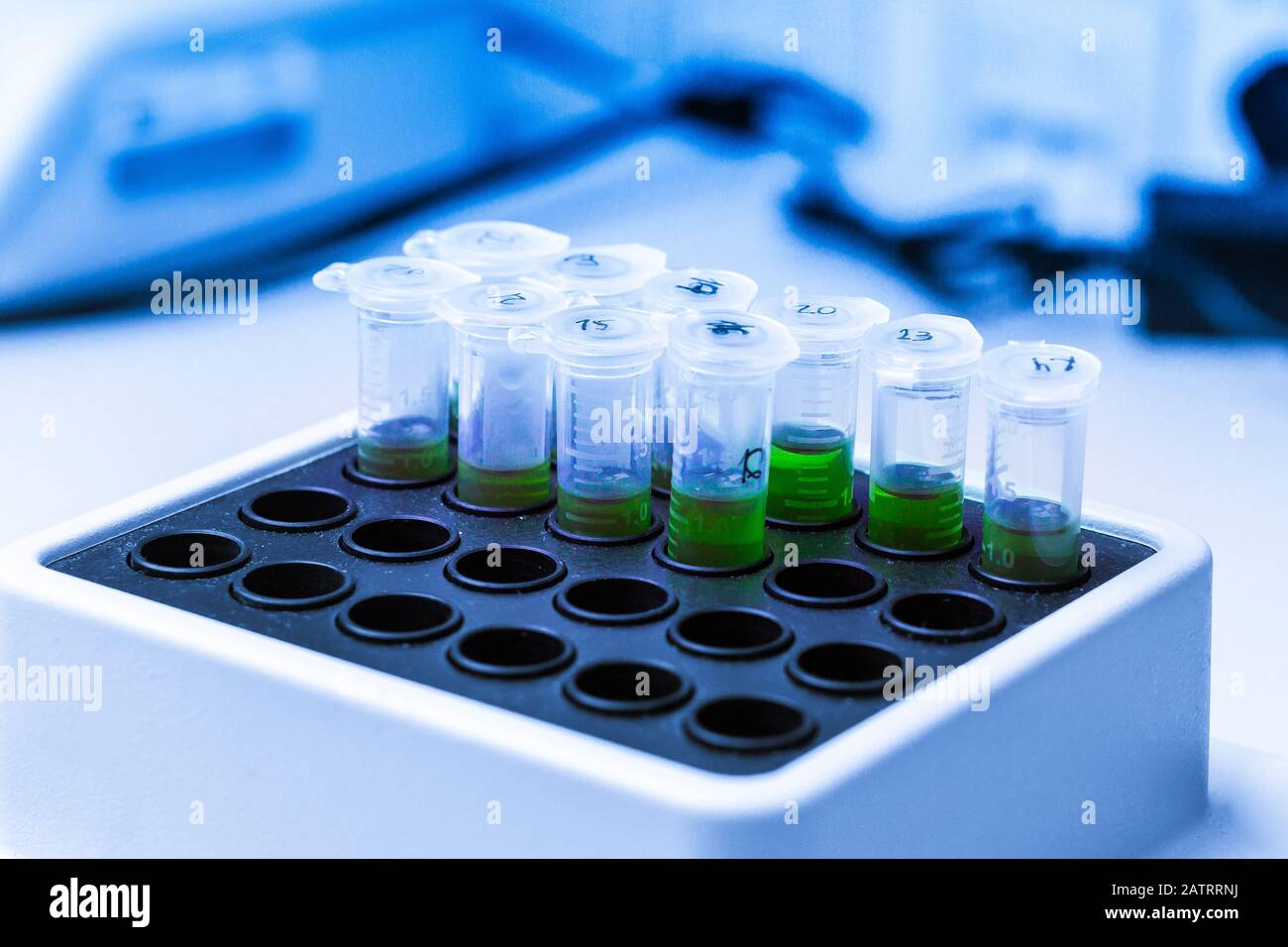 Green substance in microtube is put in thermo shaker. DNA experiment in ...