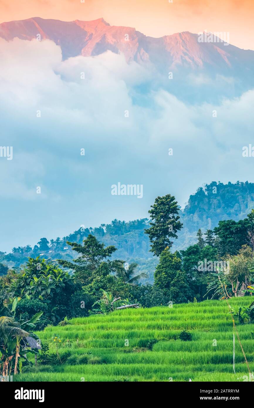 Sunset at Sideman Rice Terraces; Bali, Indonesia Stock Photo - Alamy