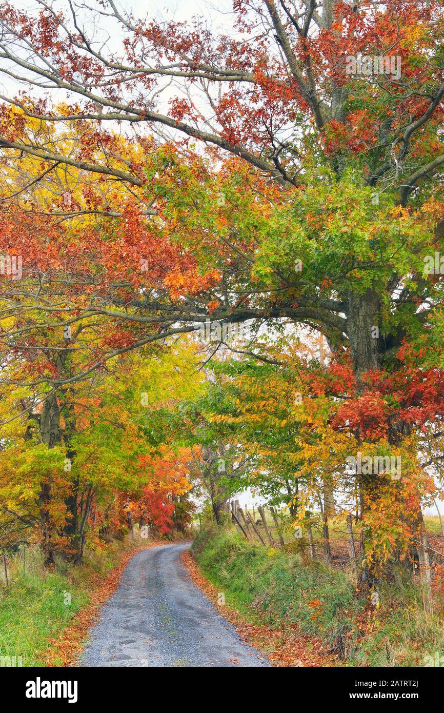 Country Road in Swoope, Shenandoah, Valley, Virginia, USA Stock Photo ...
