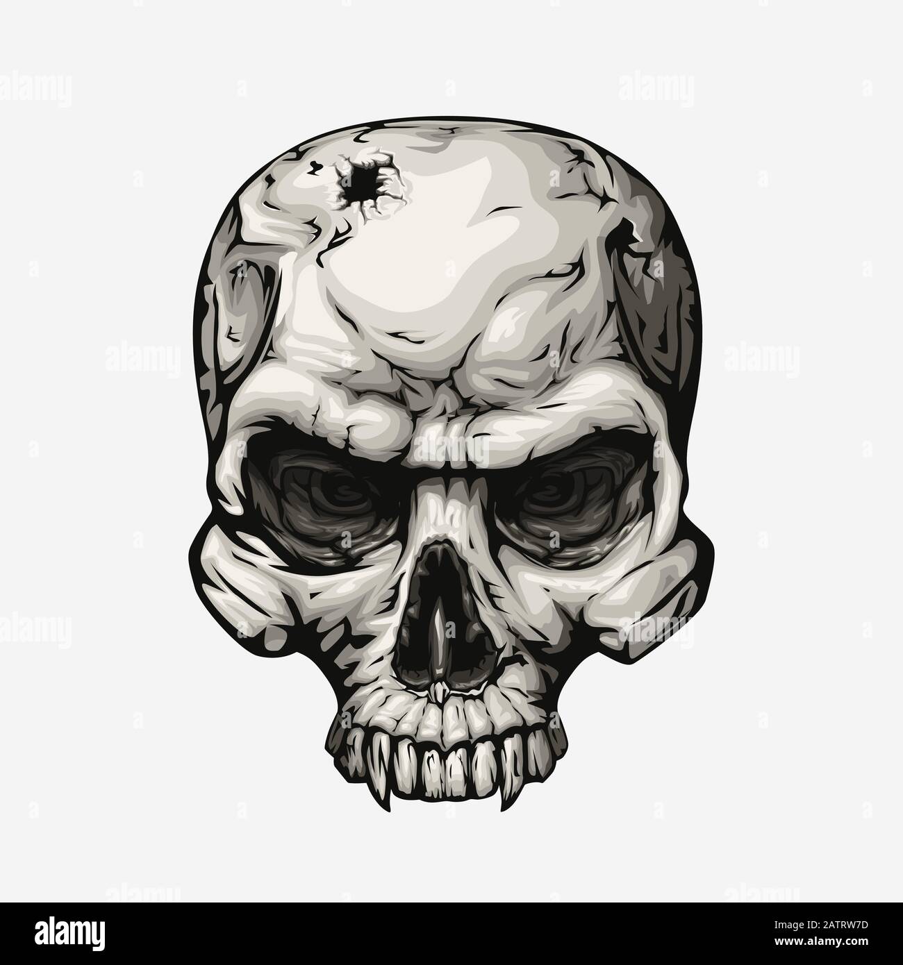 human skull front on white Stock Vector Image & Art - Alamy