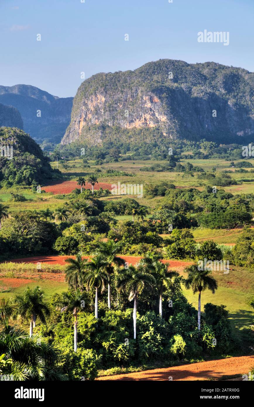 Vinales Valley, UNESCO World Heritage Site; Cuba Stock Photo - Alamy