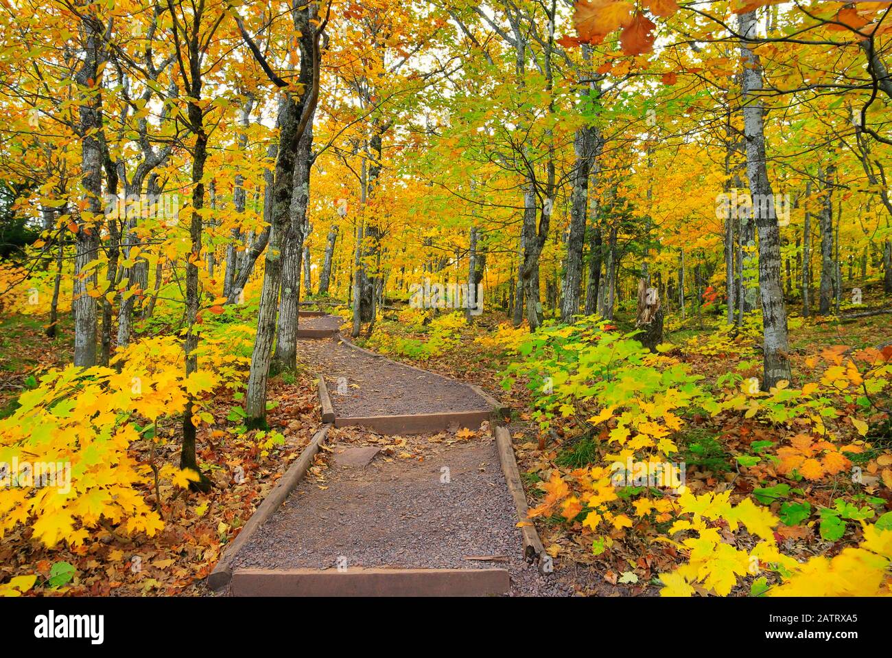 Escarpment Trail, Lake of the Clouds, Porcupine Mountains Wilderness ...