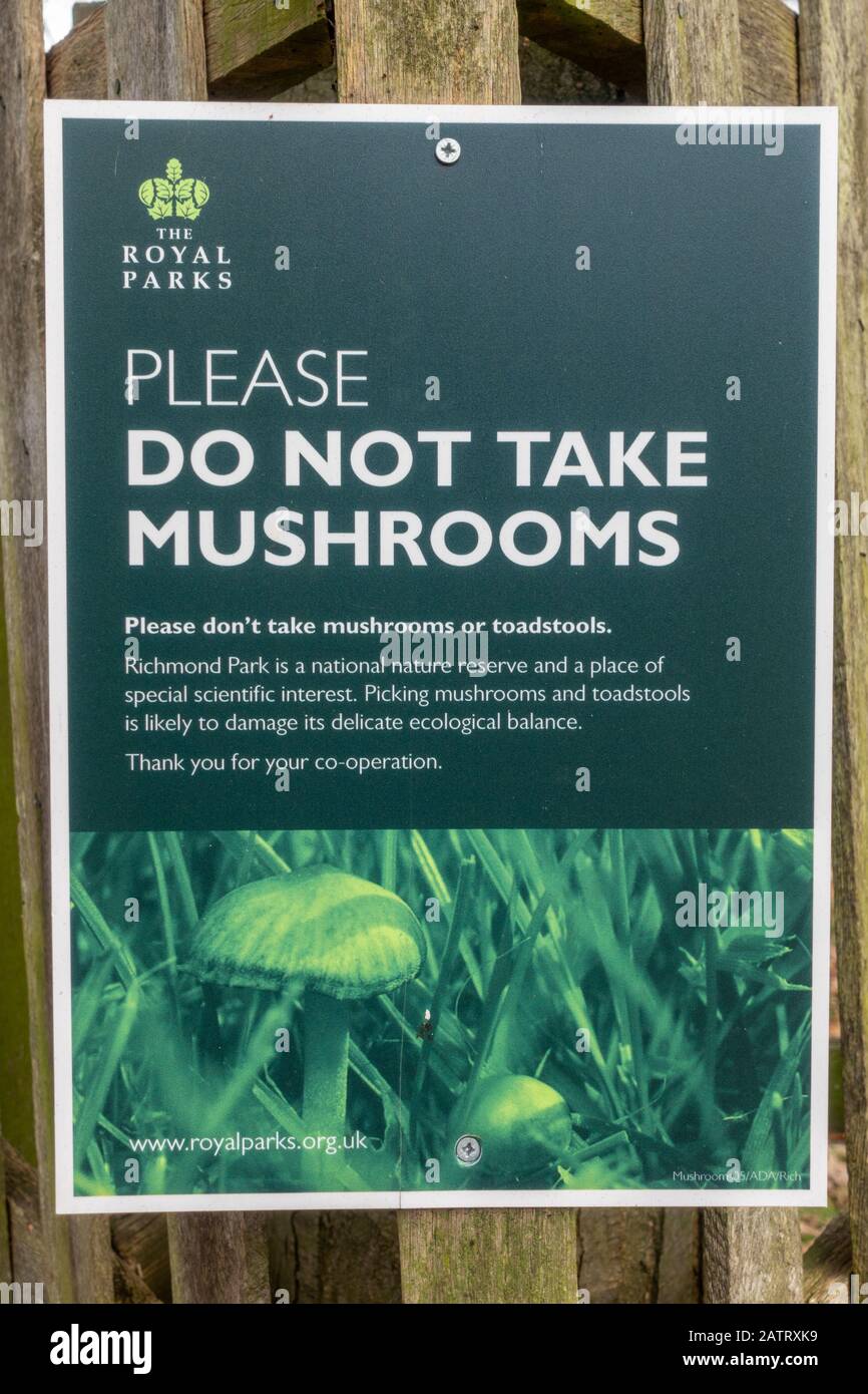"Please Do not take mushrooms" sign in Richmond Park, Richmond, Surrey ...