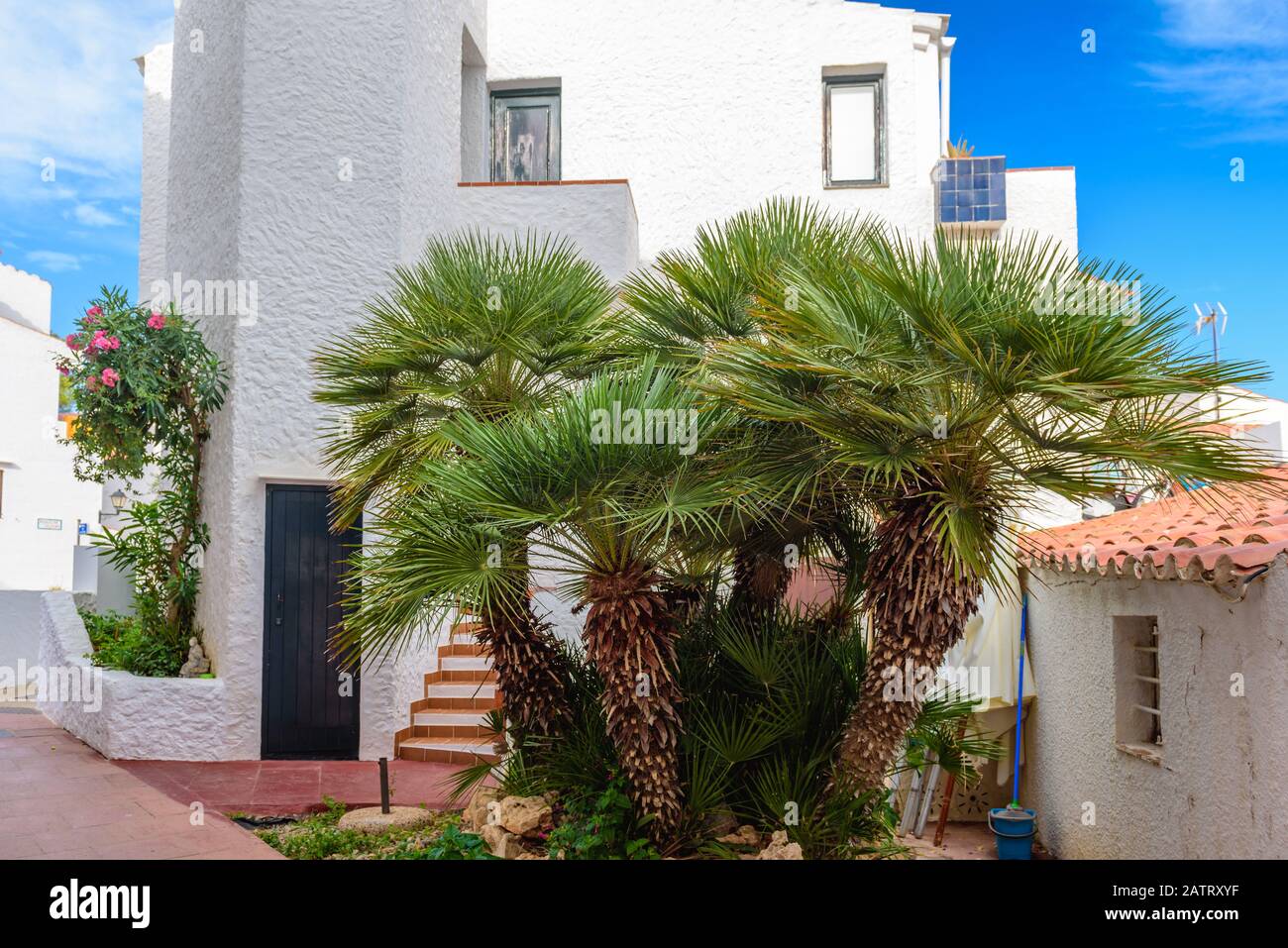 Palm tree and typical white Spanish architecture of Binibeca Nou ...