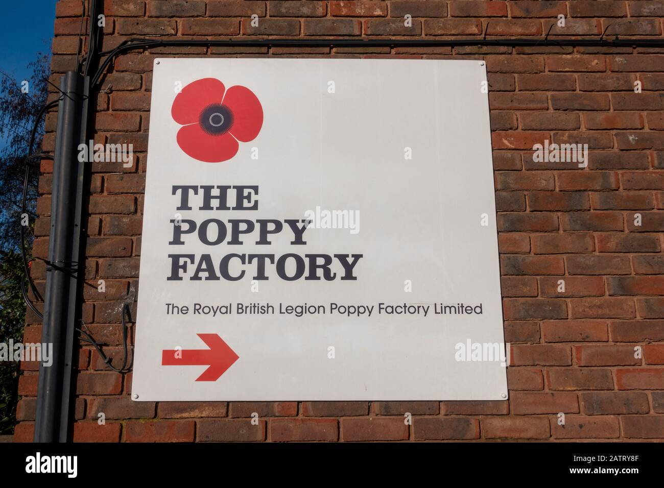 Remembrance poppies factory hi-res stock photography and images - Alamy