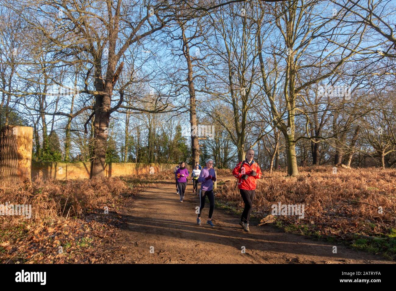 Richmond park london winter hi-res stock photography and images - Alamy