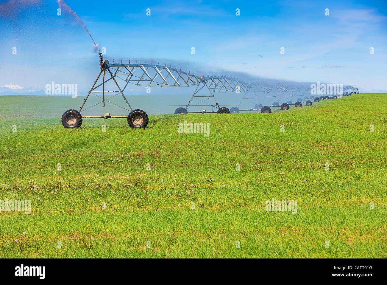 Irrigated land alberta hi-res stock photography and images - Alamy