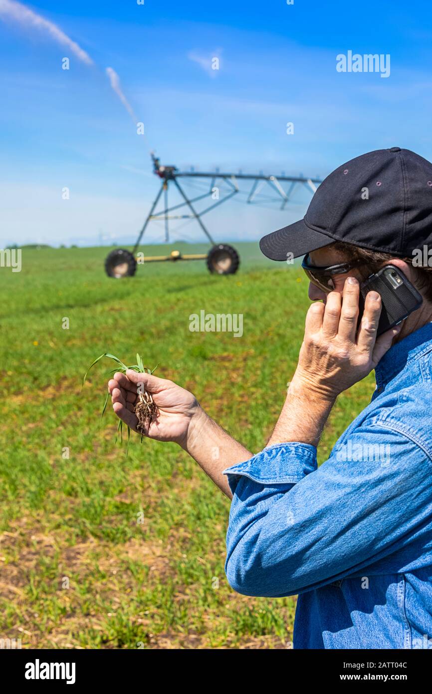 Farmer call up hi-res stock photography and images - Alamy
