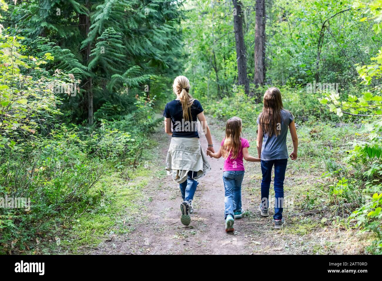 Three sisters holding hands and walking on a trail in a forest; British ...