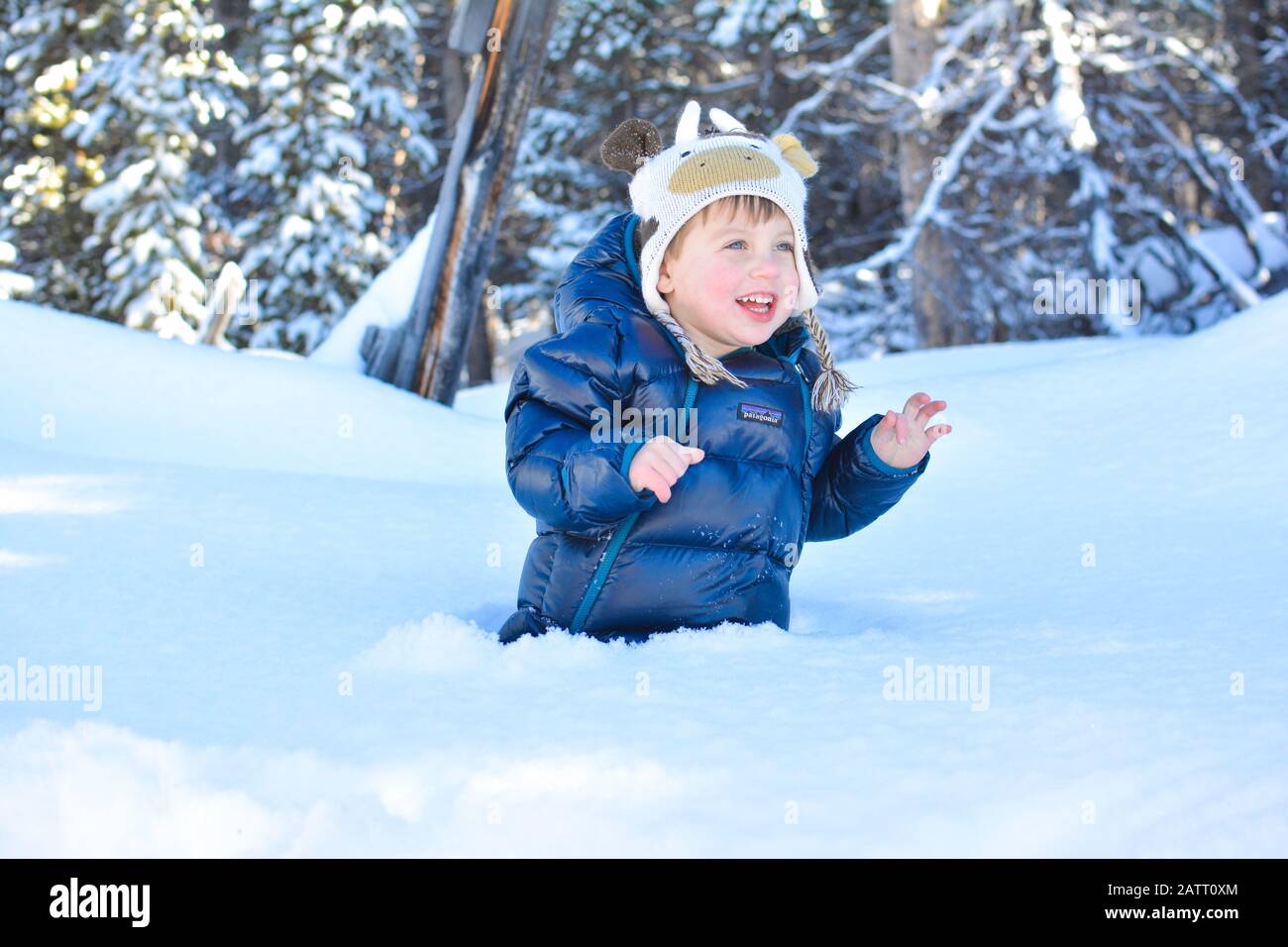 Winter activities for kids hi-res stock photography and images - Alamy