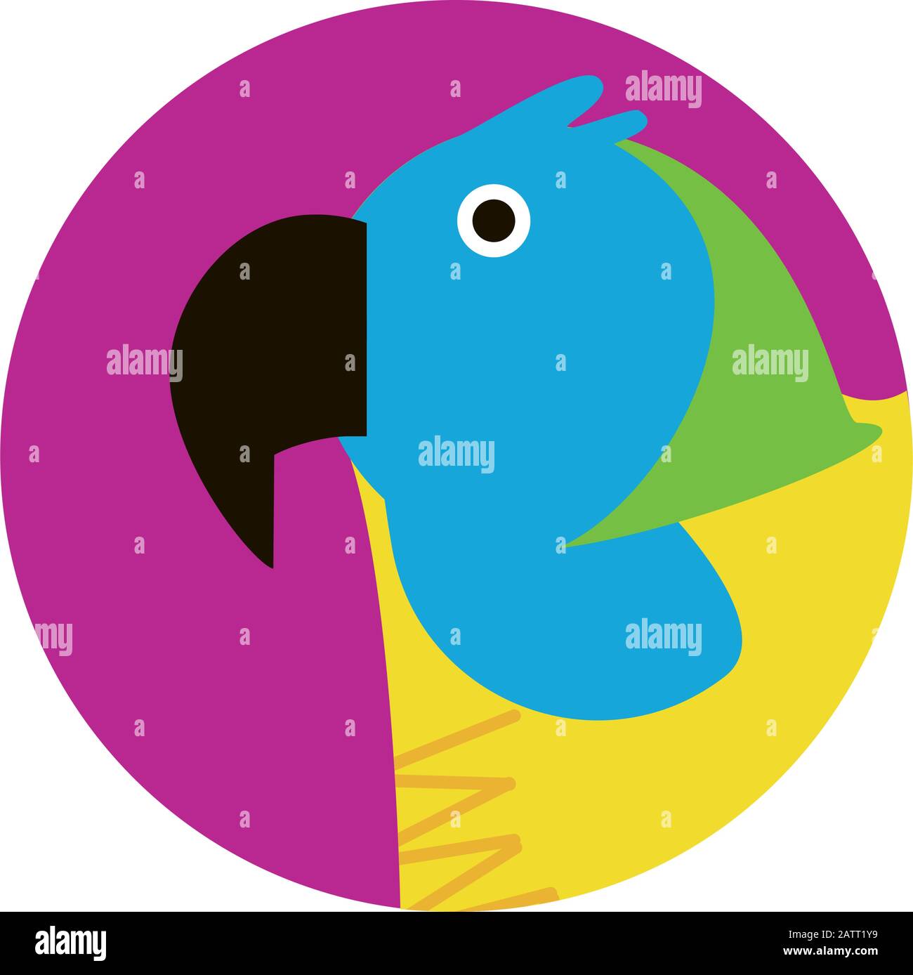 Macaw bird design, Animal feather predator wildlife fight beak natural ...