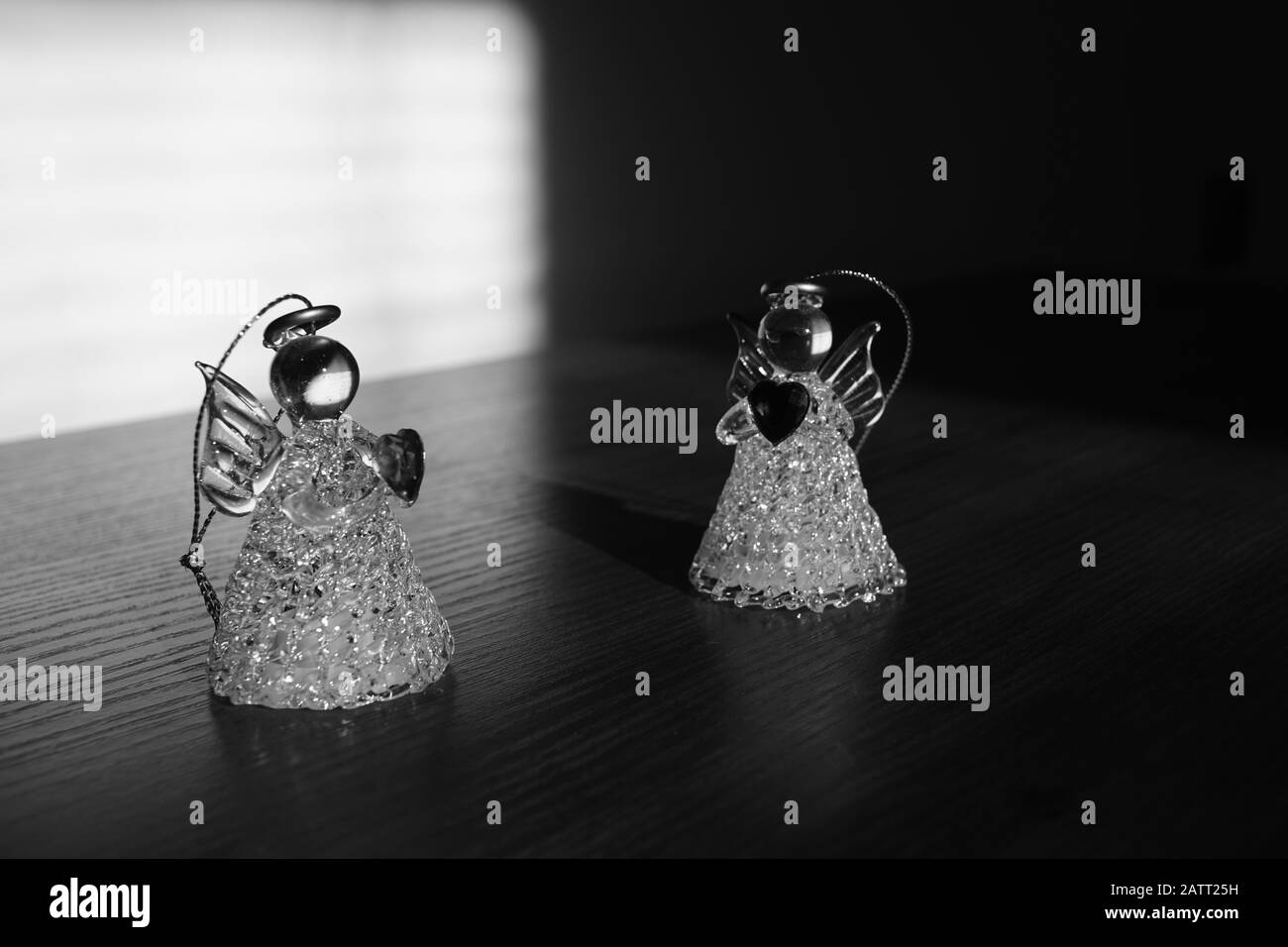 Angel Of Light And Shadow