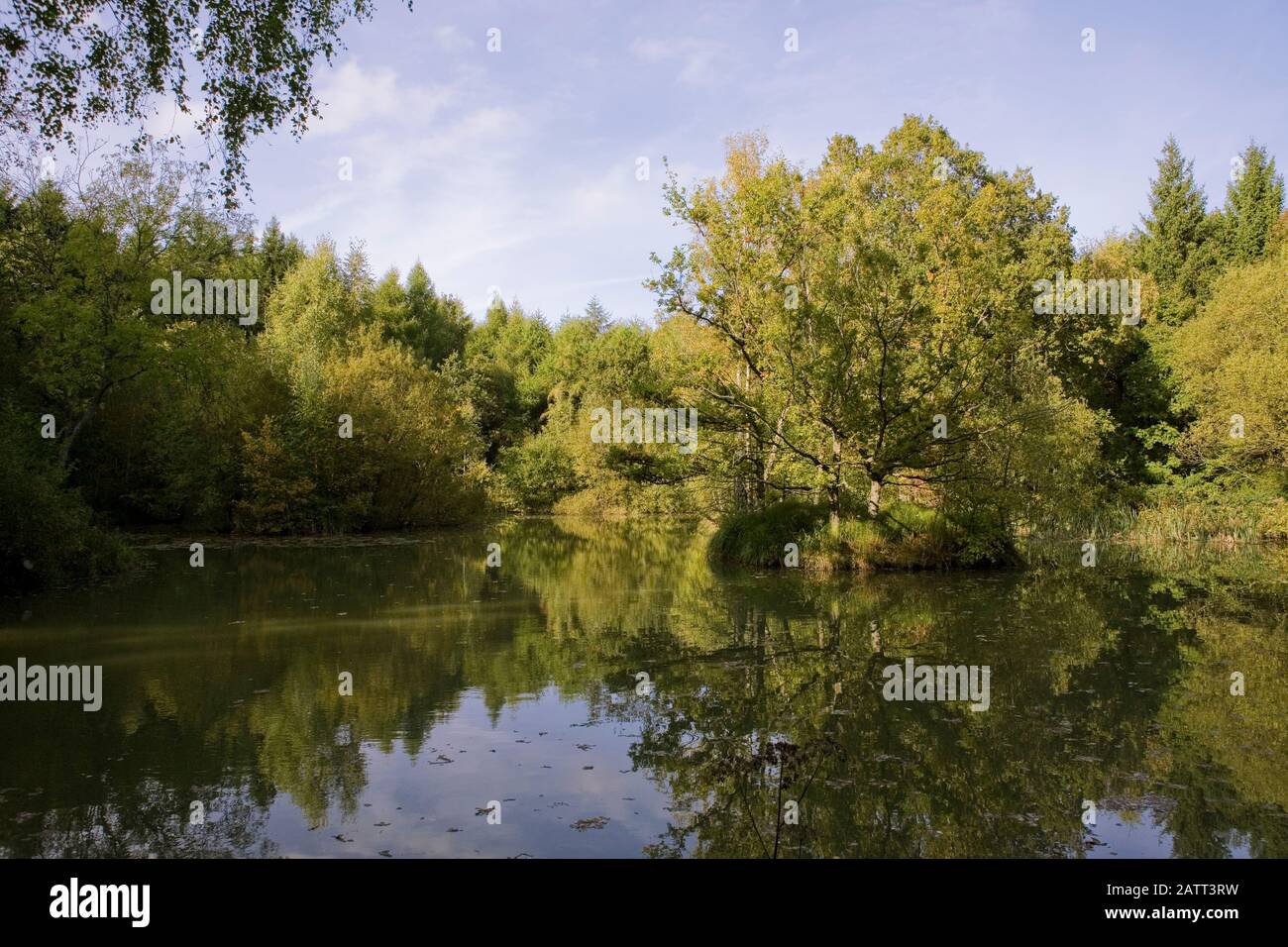 Wood ponds hi-res stock photography and images - Alamy