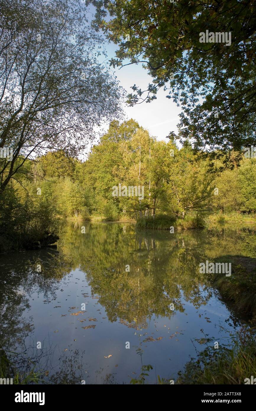 Fishing lake in Hartley Wood, Oakhanger, Hampshire, England, UK Stock ...