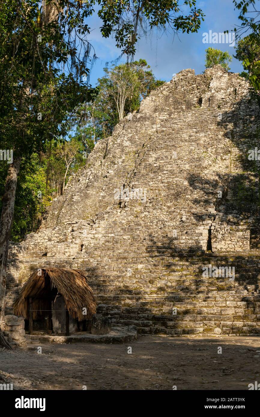 The ancient Mayan Ruins at Coba, Quintana Roo, Mexico Stock Photo - Alamy