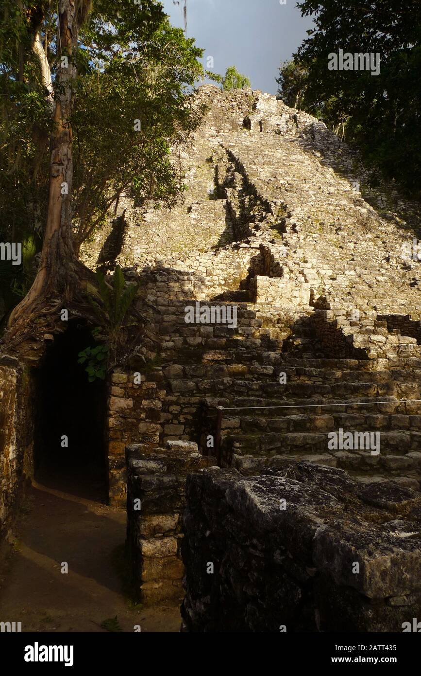 The ancient Mayan Ruins at Coba, Quintana Roo, Mexico Stock Photo - Alamy