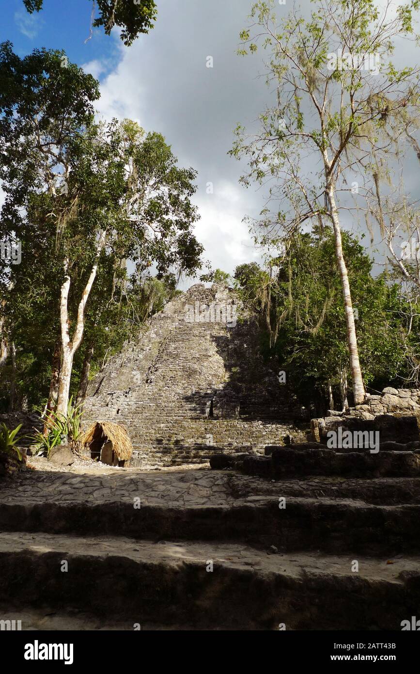 The ancient Mayan Ruins at Coba, Quintana Roo, Mexico Stock Photo - Alamy