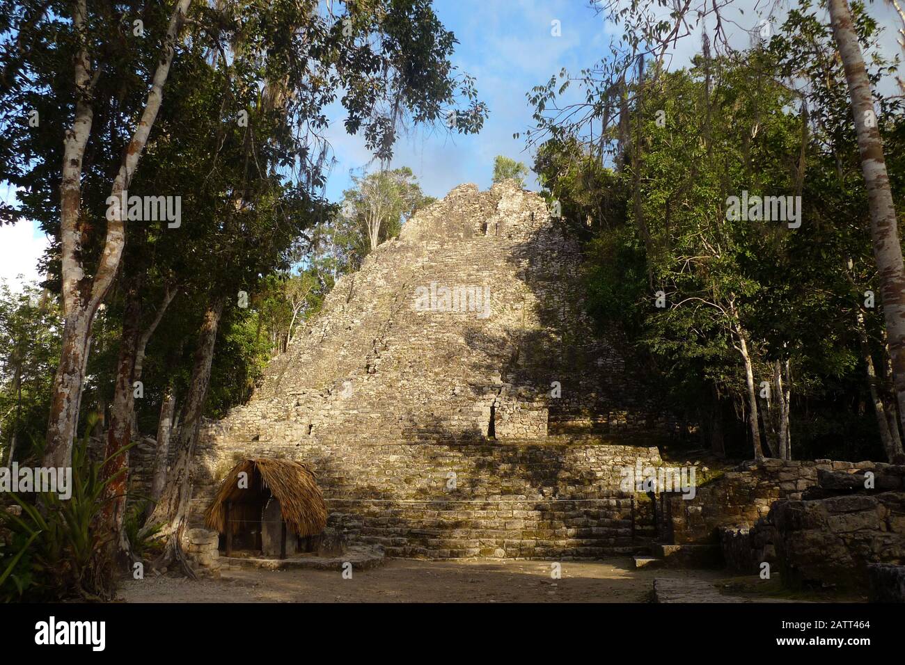 The ancient Mayan Ruins at Coba, Quintana Roo, Mexico Stock Photo - Alamy