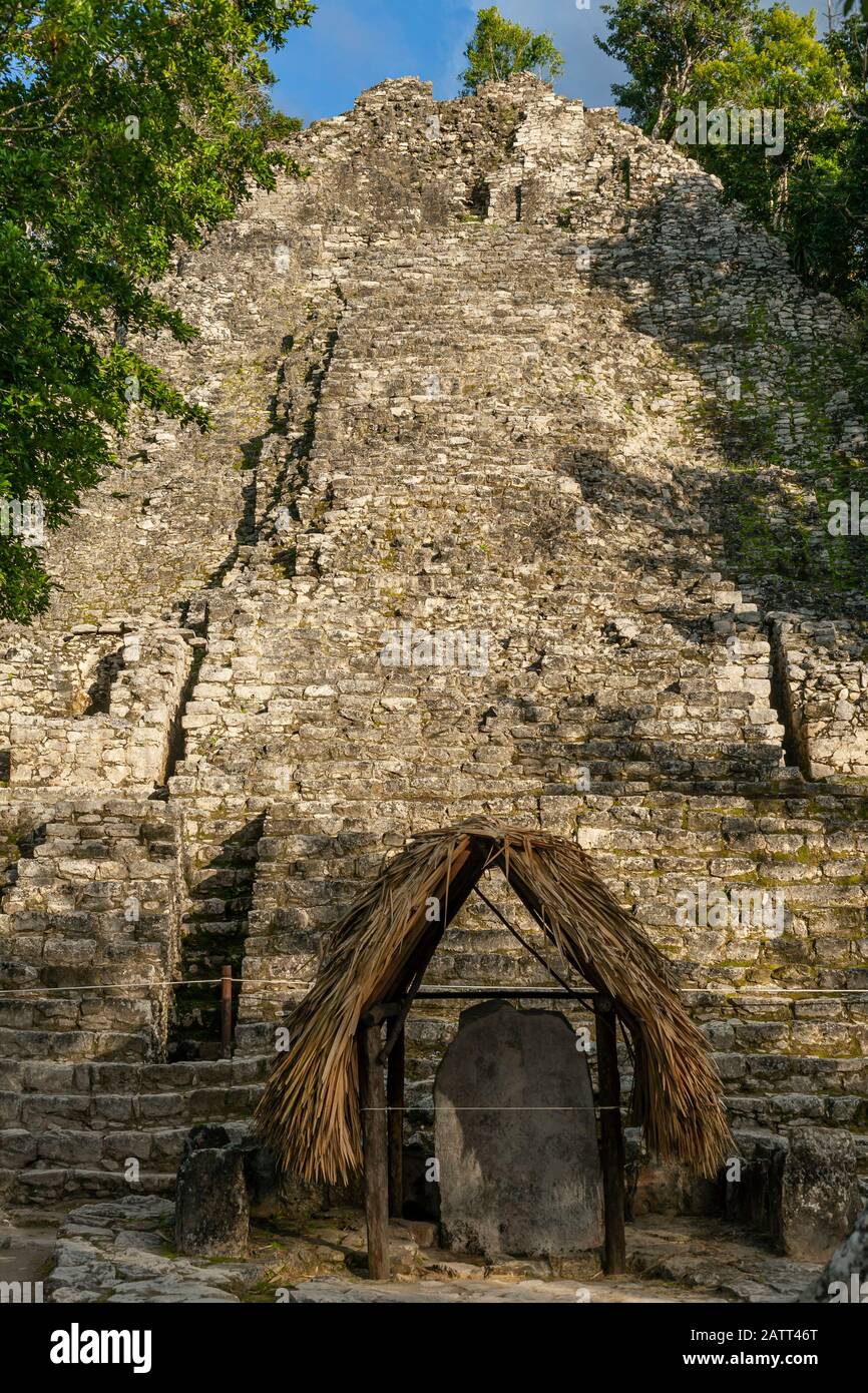The ancient Mayan Ruins at Coba, Quintana Roo, Mexico Stock Photo - Alamy