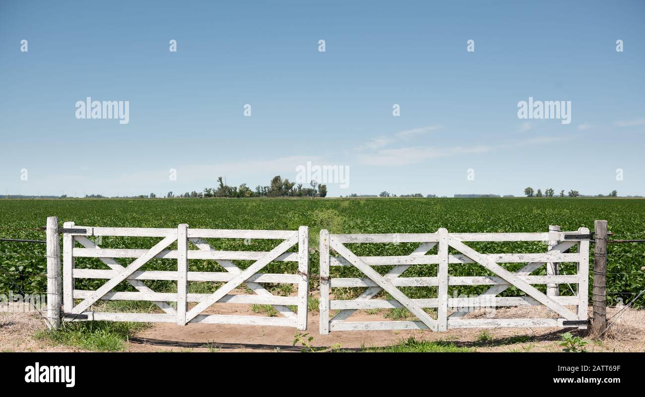 Gate of the farm and plantation of soy bean Stock Photo - Alamy
