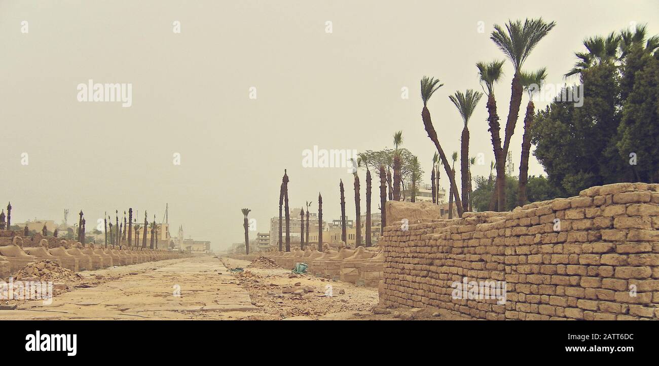 Egyptian courtyard hi-res stock photography and images - Alamy