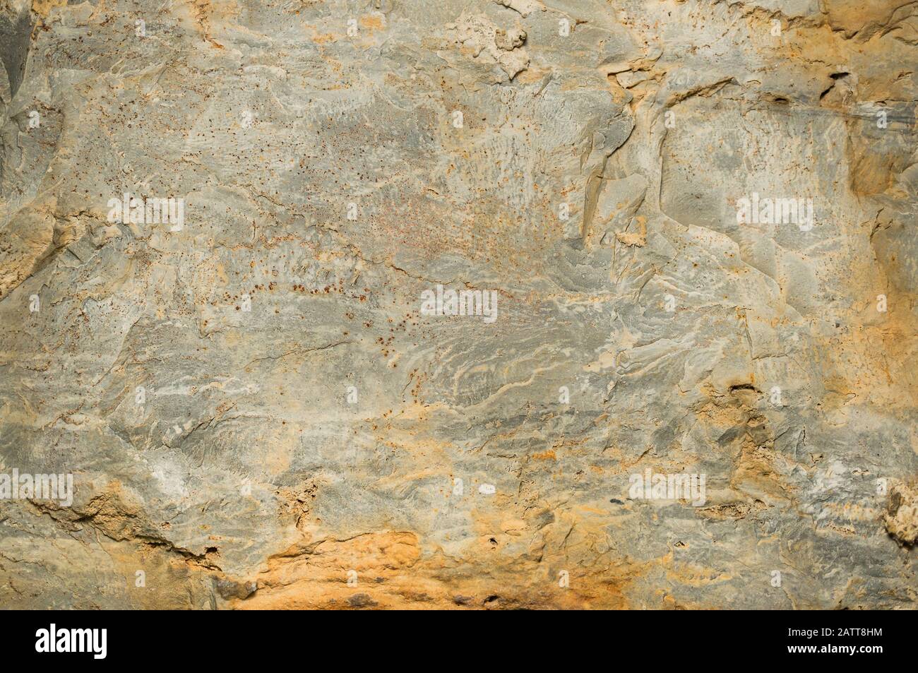 The texture of natural gray stone with yellow splashes. Universal ...