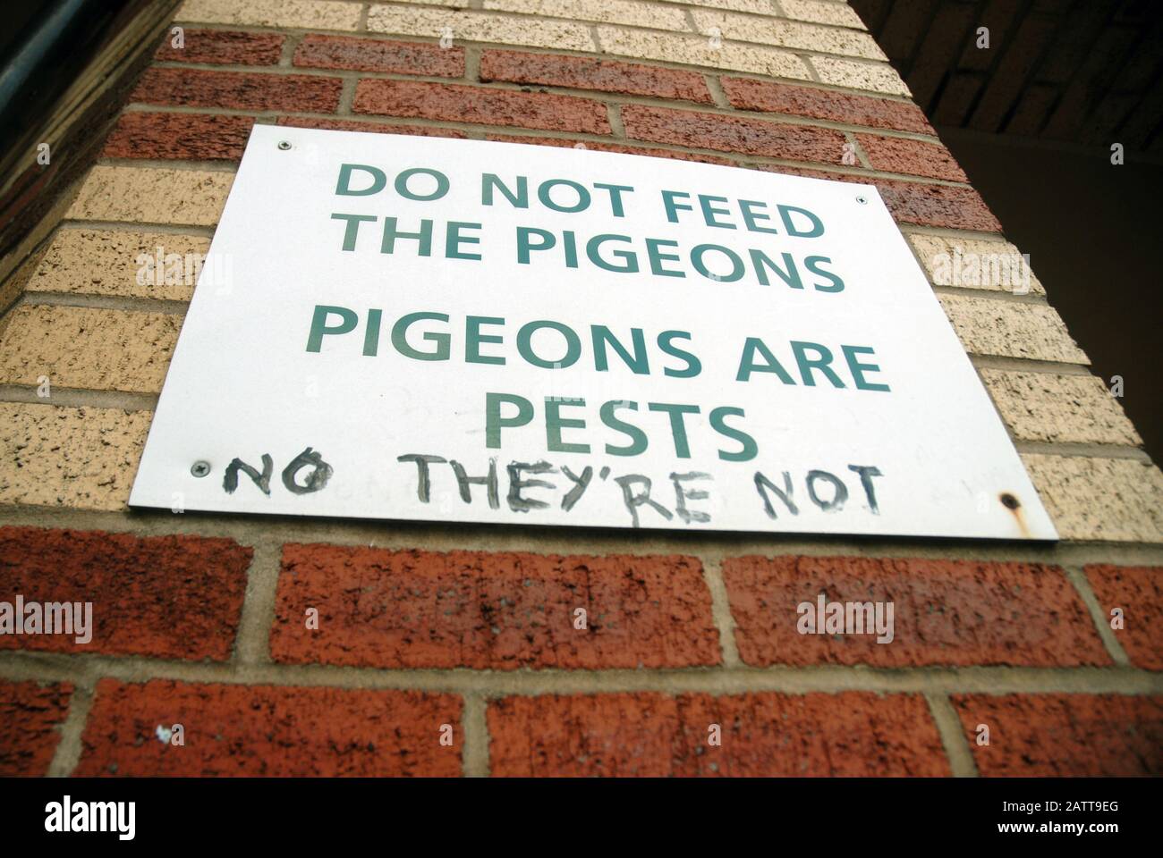 Do Not Feed The Pigeons Sign, Portsmouth, Hampshire, GB Stock Photo - Alamy