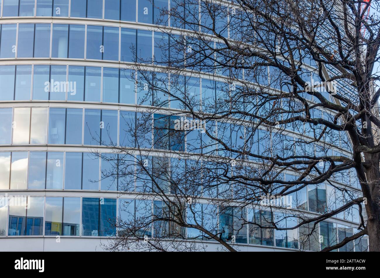 A large tree with branches reaching out grows in front of a modern ...
