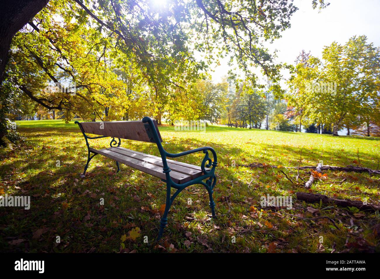 cozy bench in the garden under a tree on a green lawn Stock Photo - Alamy