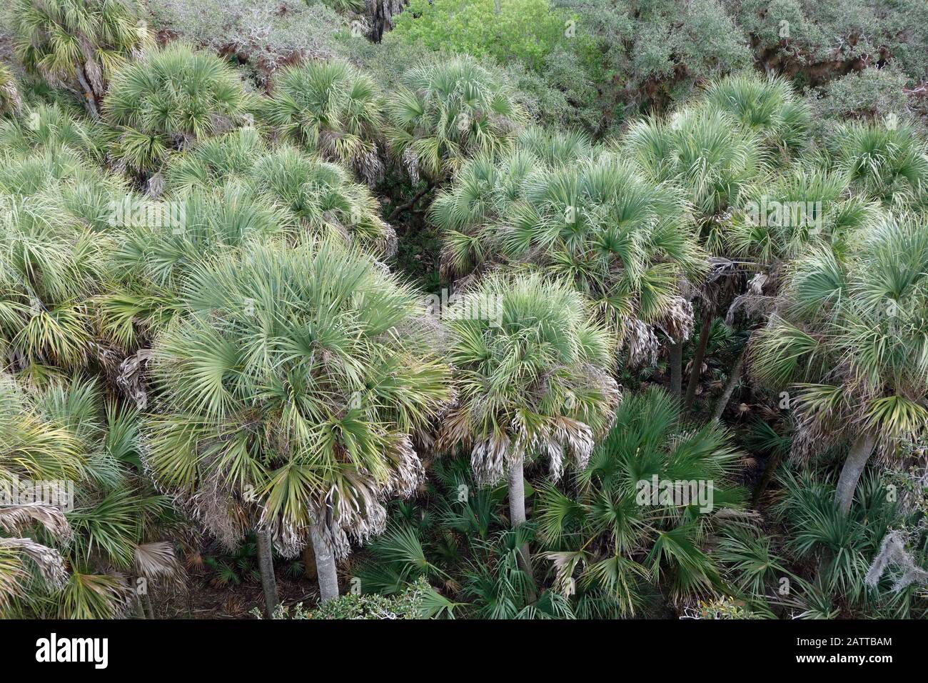 Southwest florida river hi-res stock photography and images - Alamy