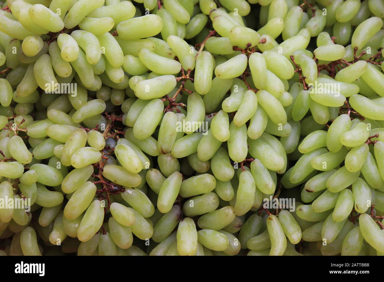 Green grapes background. Lots of ripe grapes Stock Photo - Alamy
