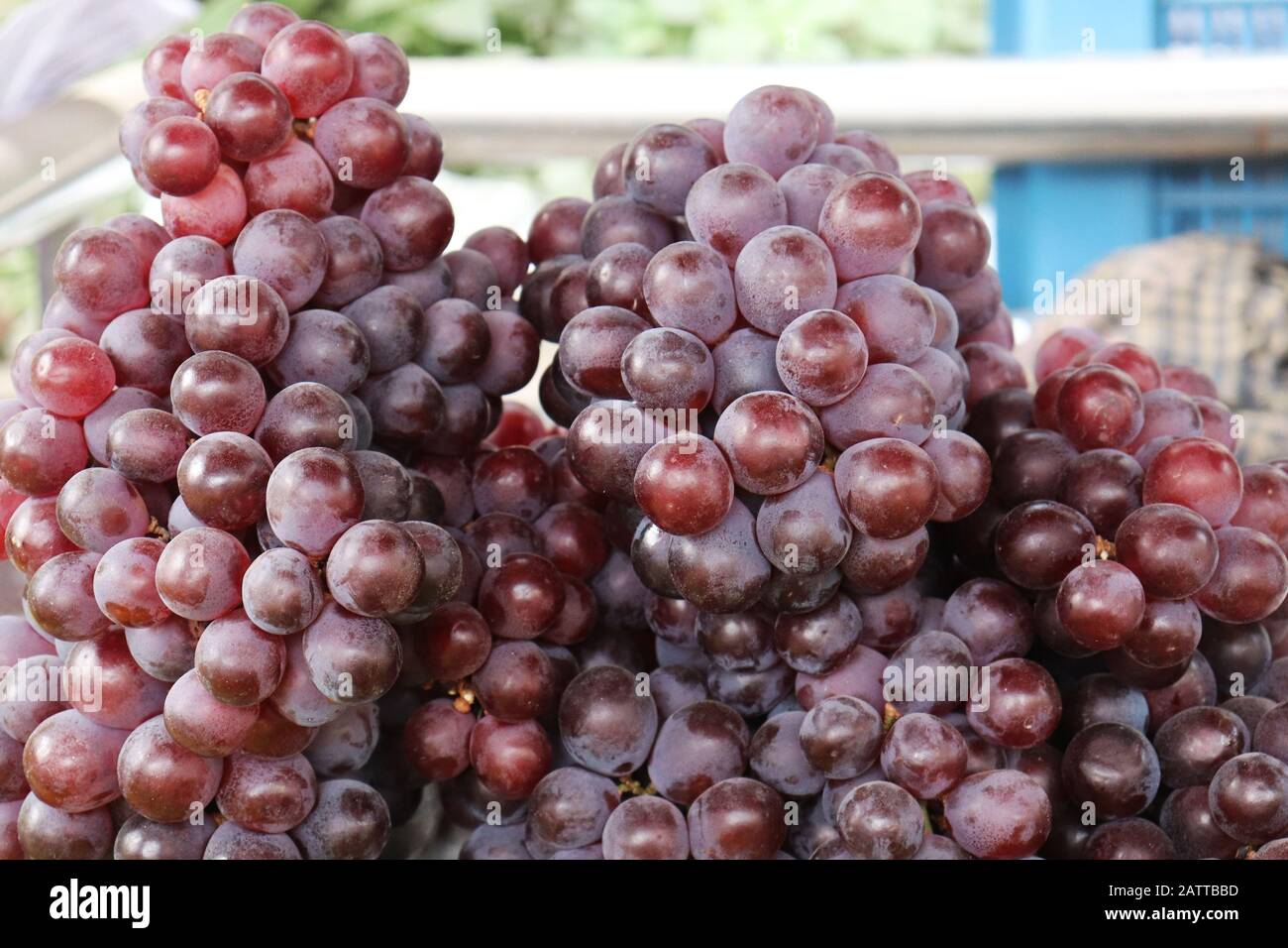 Fresh red grape in a fruit shop Stock Photo - Alamy