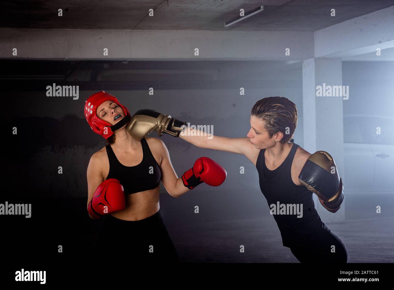 Are Female Boxers Aggressive
