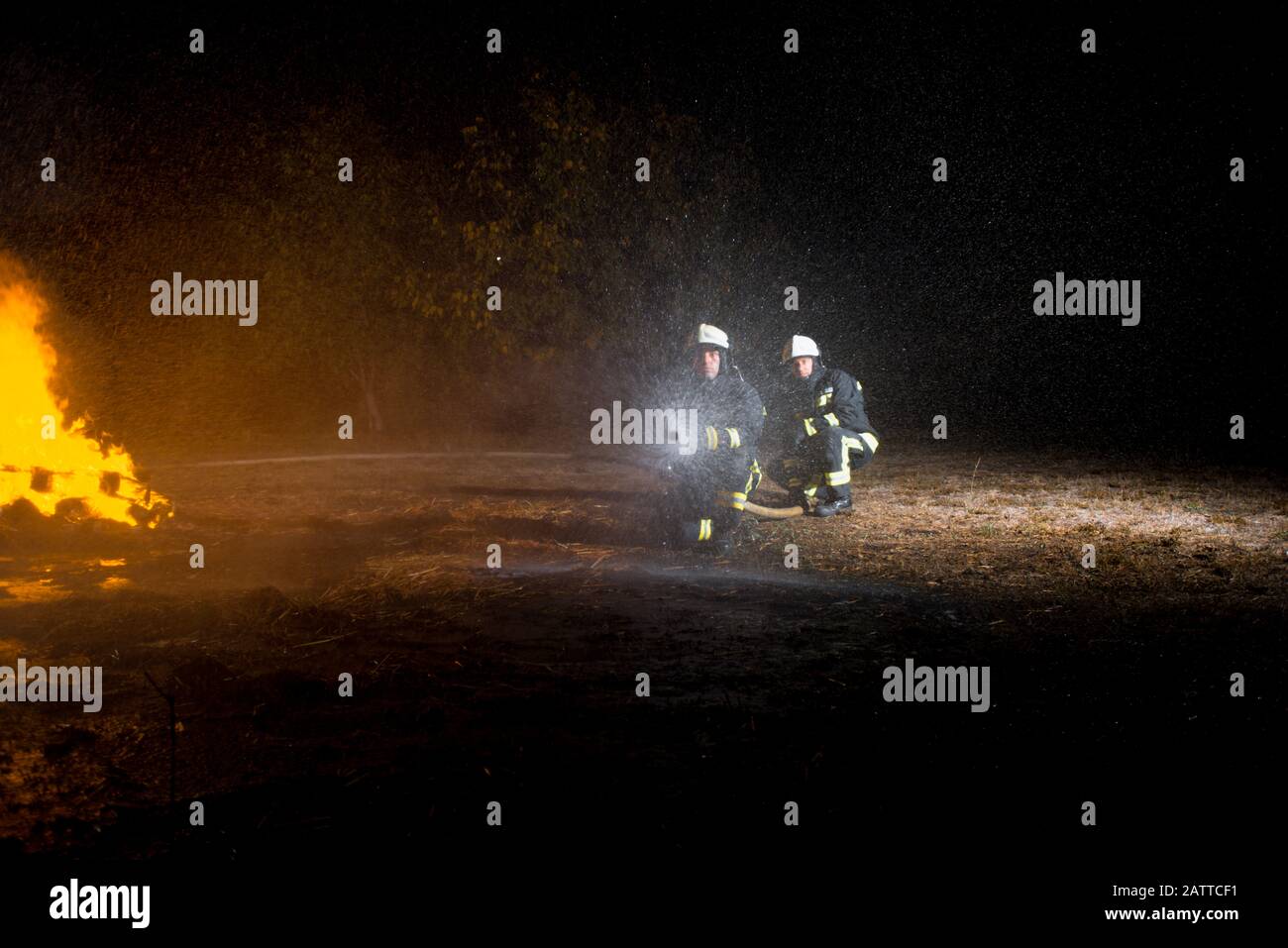 Fire department team during an operation to extinguish a forest fire ...