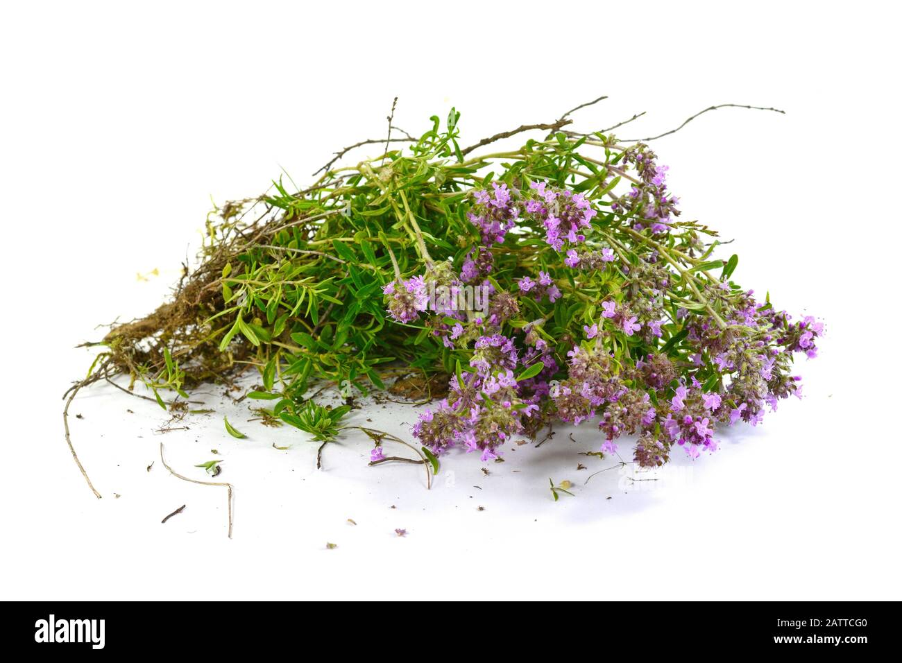 Fresh thyme with root isolated on white background Stock Photo - Alamy