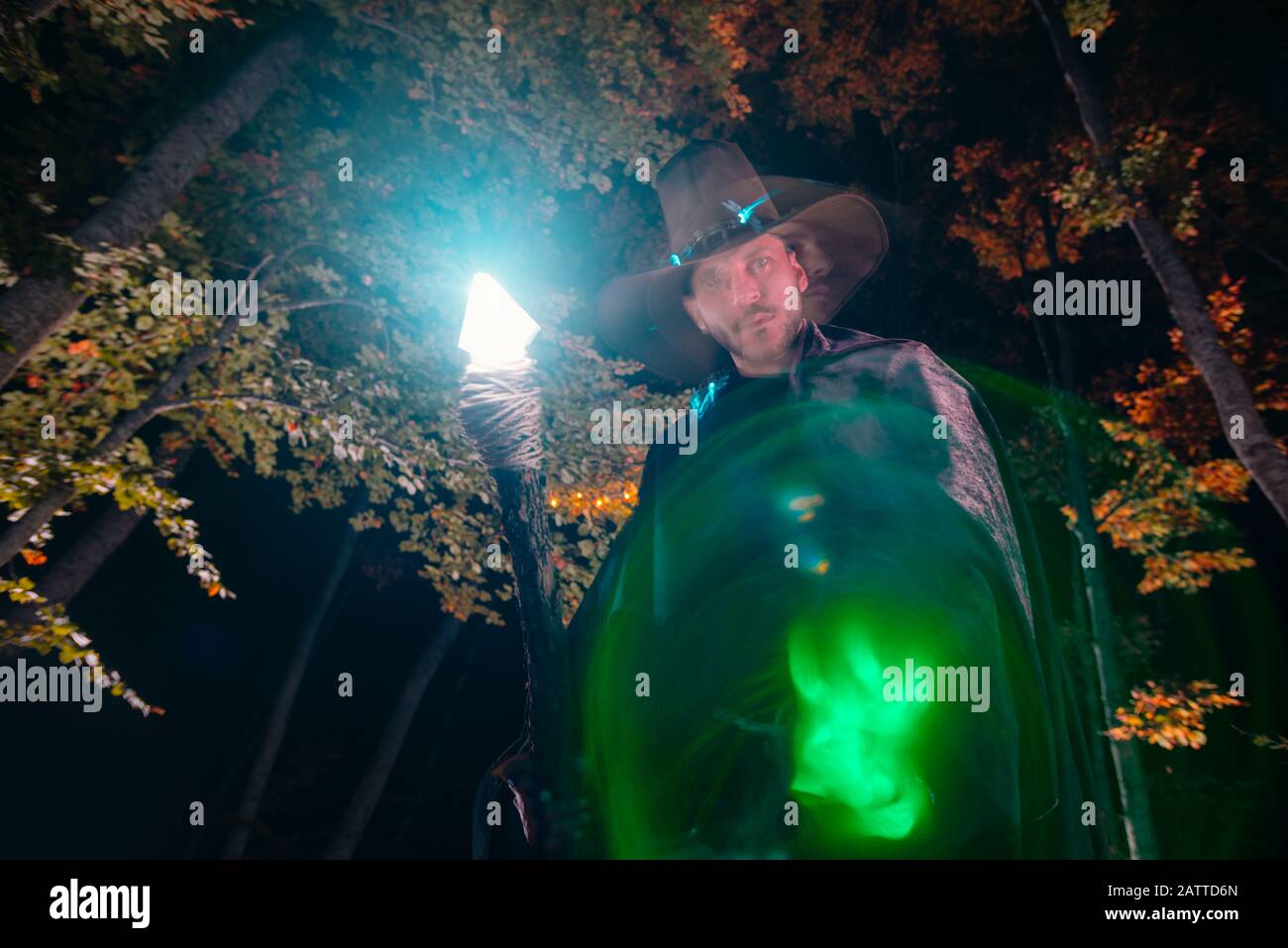 Wizard oz forest hi-res stock photography and images - Alamy
