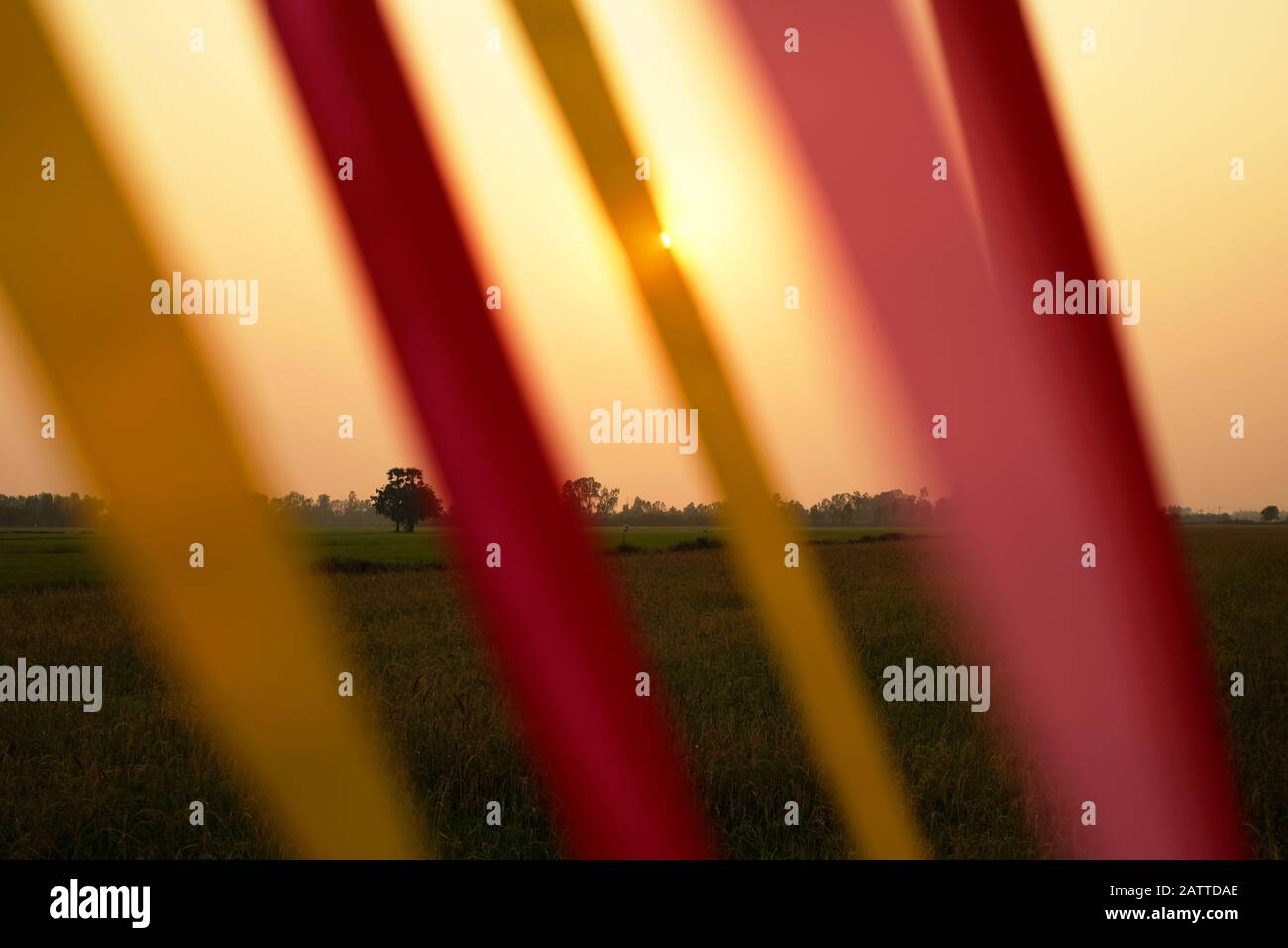Sunset see through vertical line of ribbons Stock Photo - Alamy
