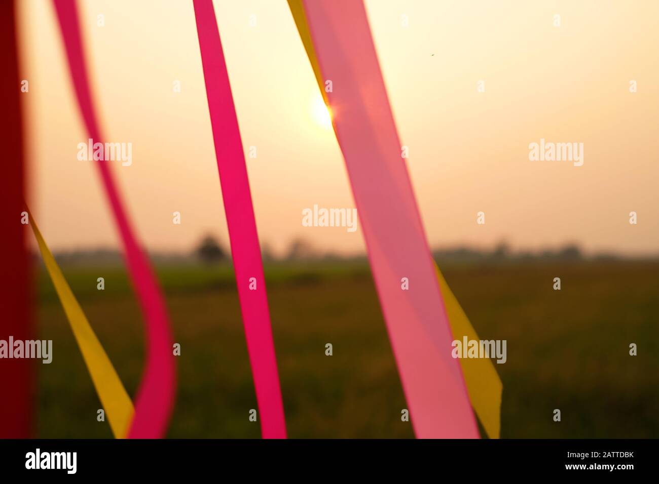 Sunset see through vertical line of ribbons Stock Photo - Alamy