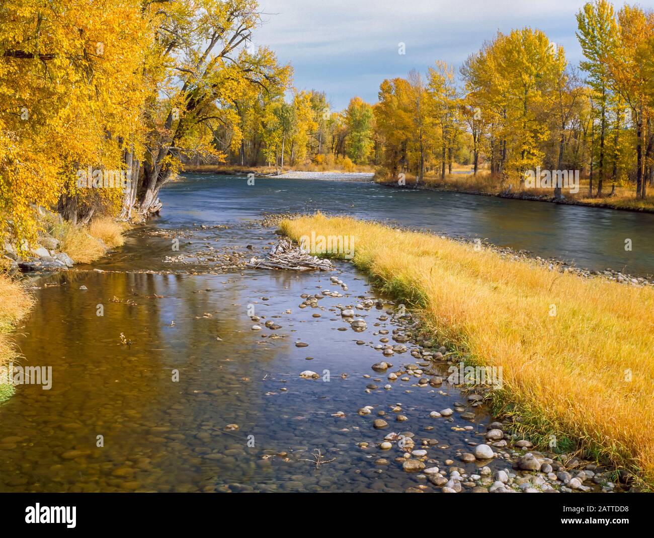 fall colors along the stillwater river near columbus, montana Stock ...