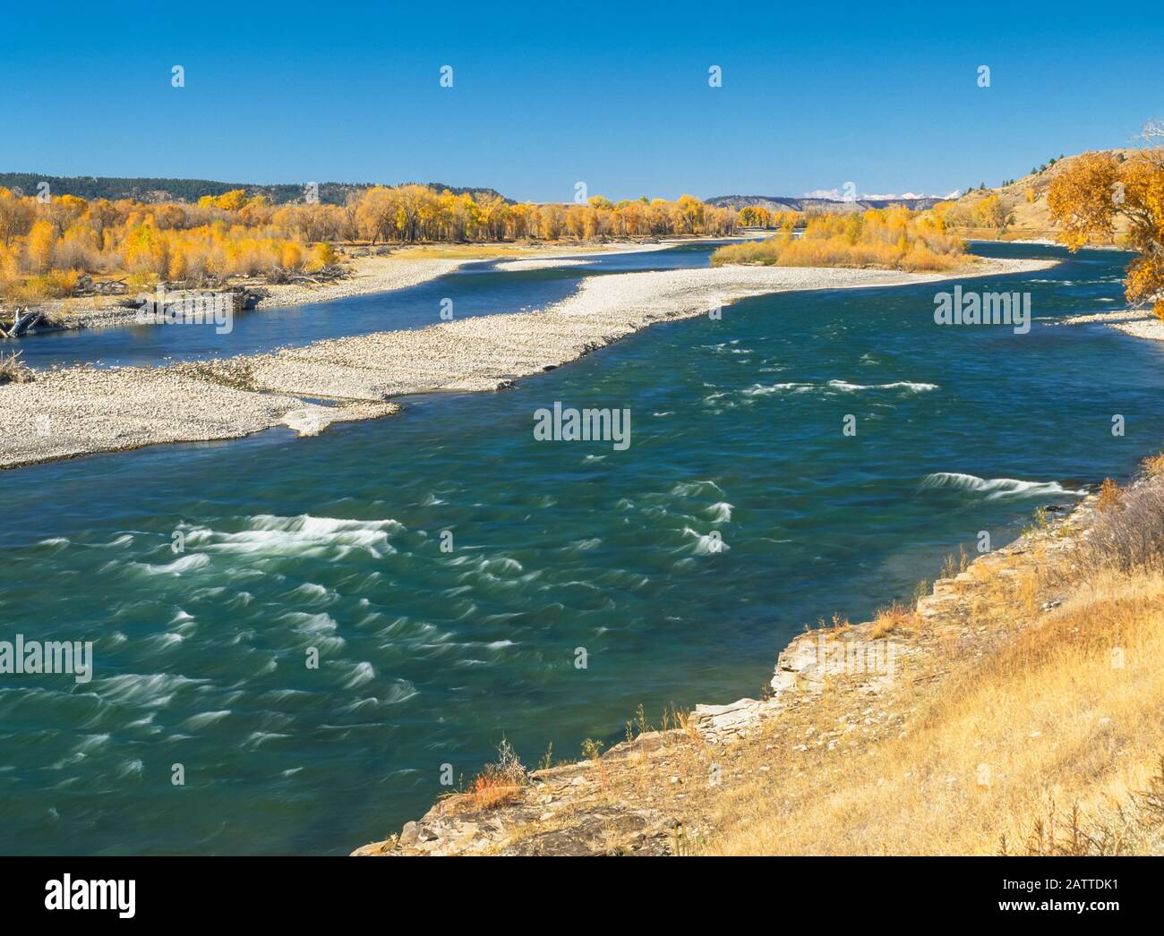 fall colors along the yellowstone river near columbus, montana Stock ...