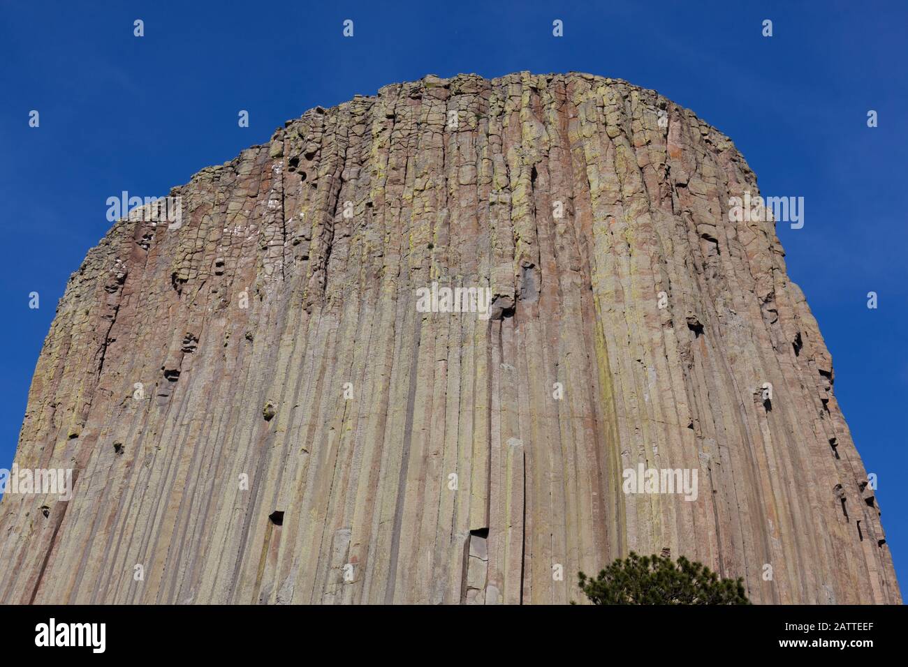 The spectacular vertical rock columns that form Devils Tower National ...