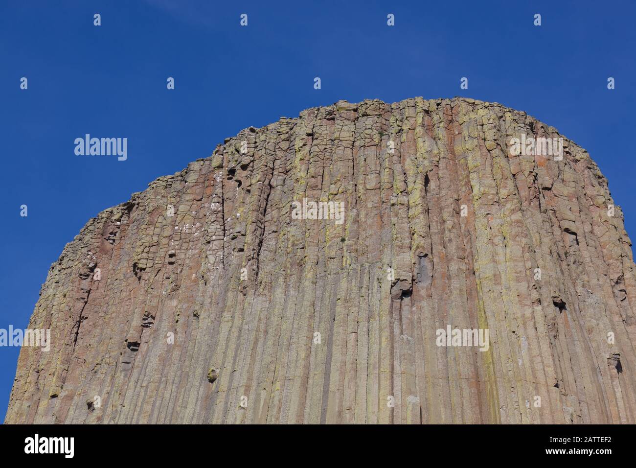 The spectacular vertical rock columns that form Devils Tower National ...