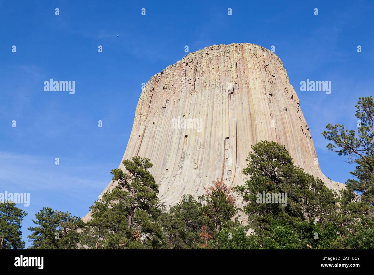 The spectacular vertical rock columns that form Devils Tower National ...