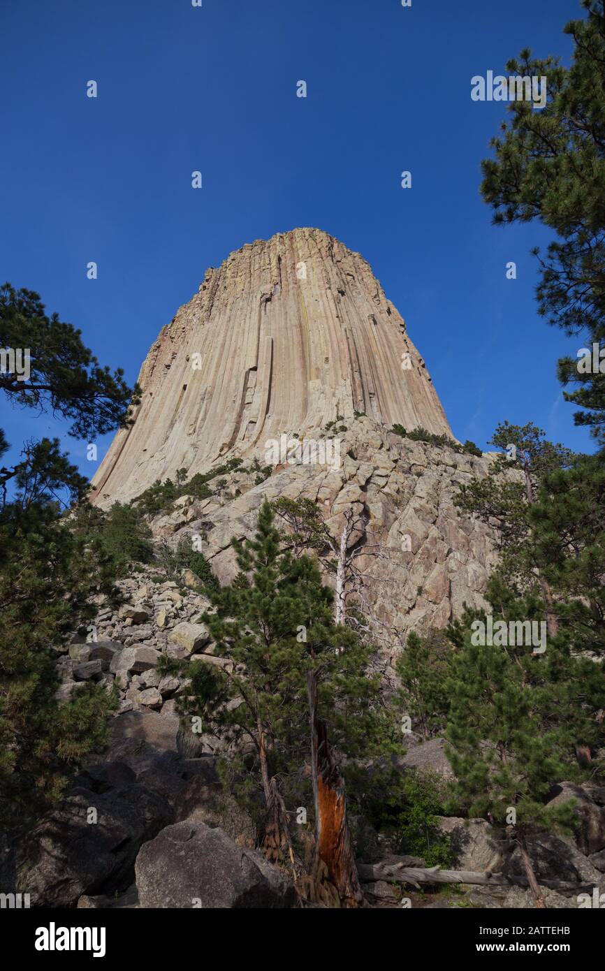 The spectacular vertical rock columns that form Devils Tower National ...