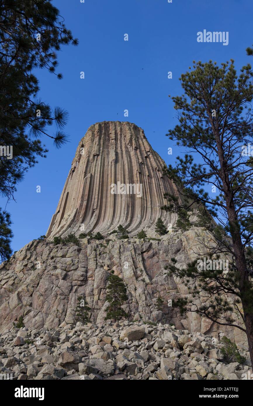 The spectacular vertical rock columns that form Devils Tower National ...
