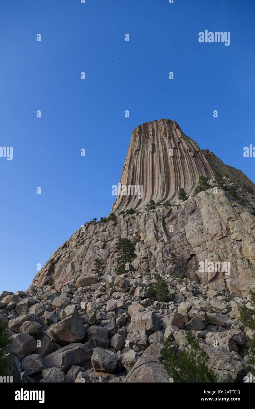 The spectacular vertical rock columns that form Devils Tower National ...