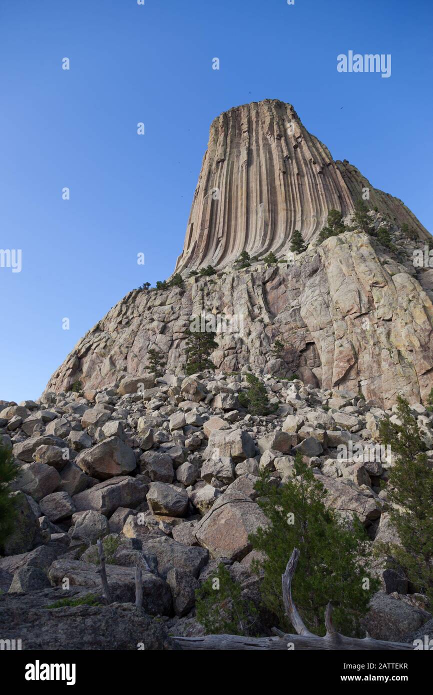 The spectacular vertical rock columns that form Devils Tower National ...
