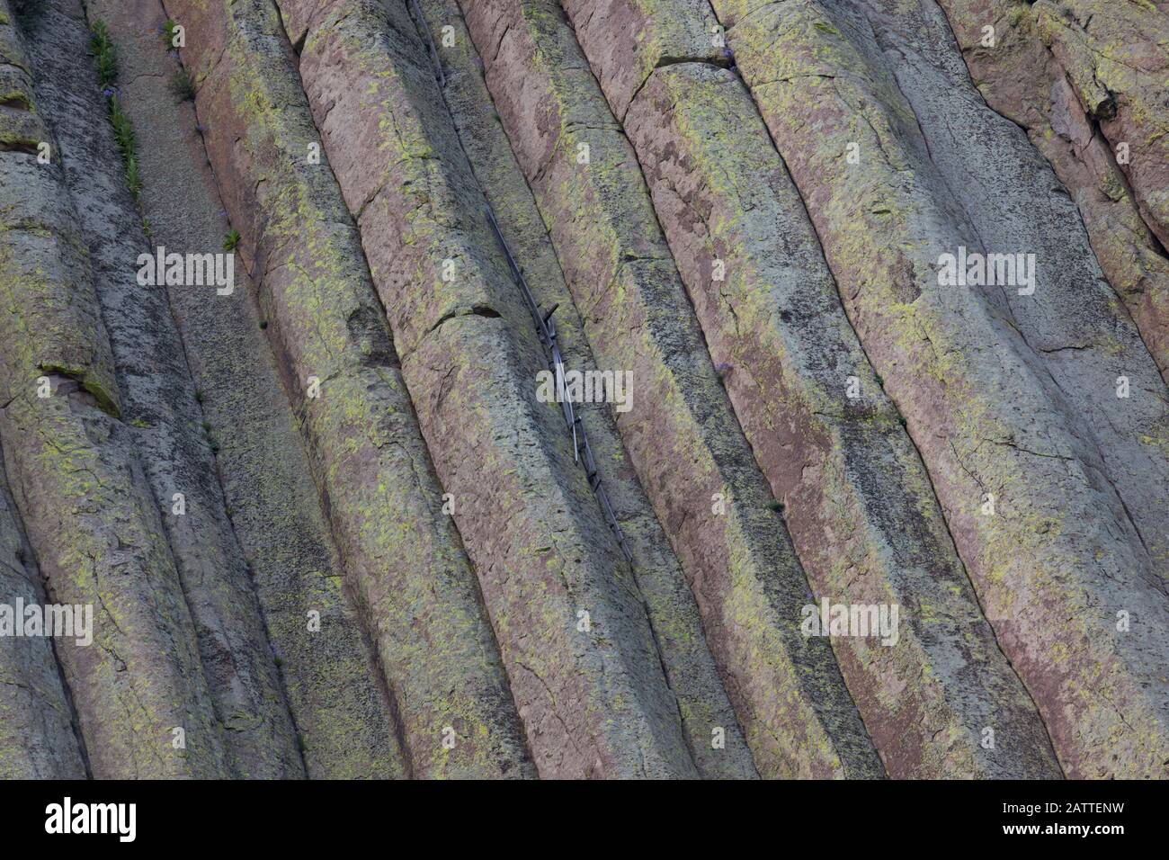 The spectacular vertical rock columns that form Devils Tower National ...