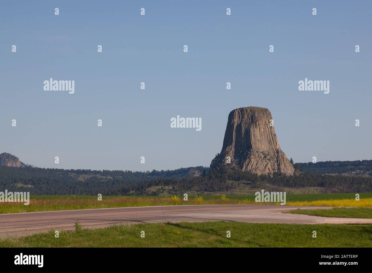 The landscape of Devils Tower National Monument in the early morning ...