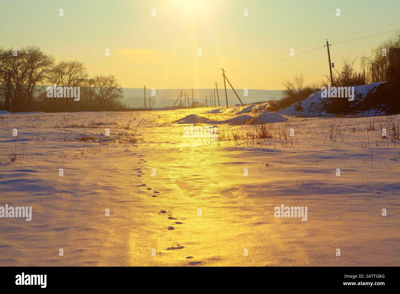 fantastic nature with sun reflection in the snow Stock Photo - Alamy